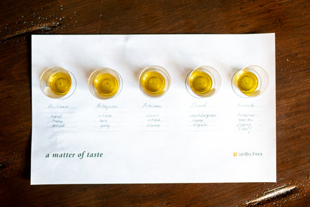 The Oil Tree