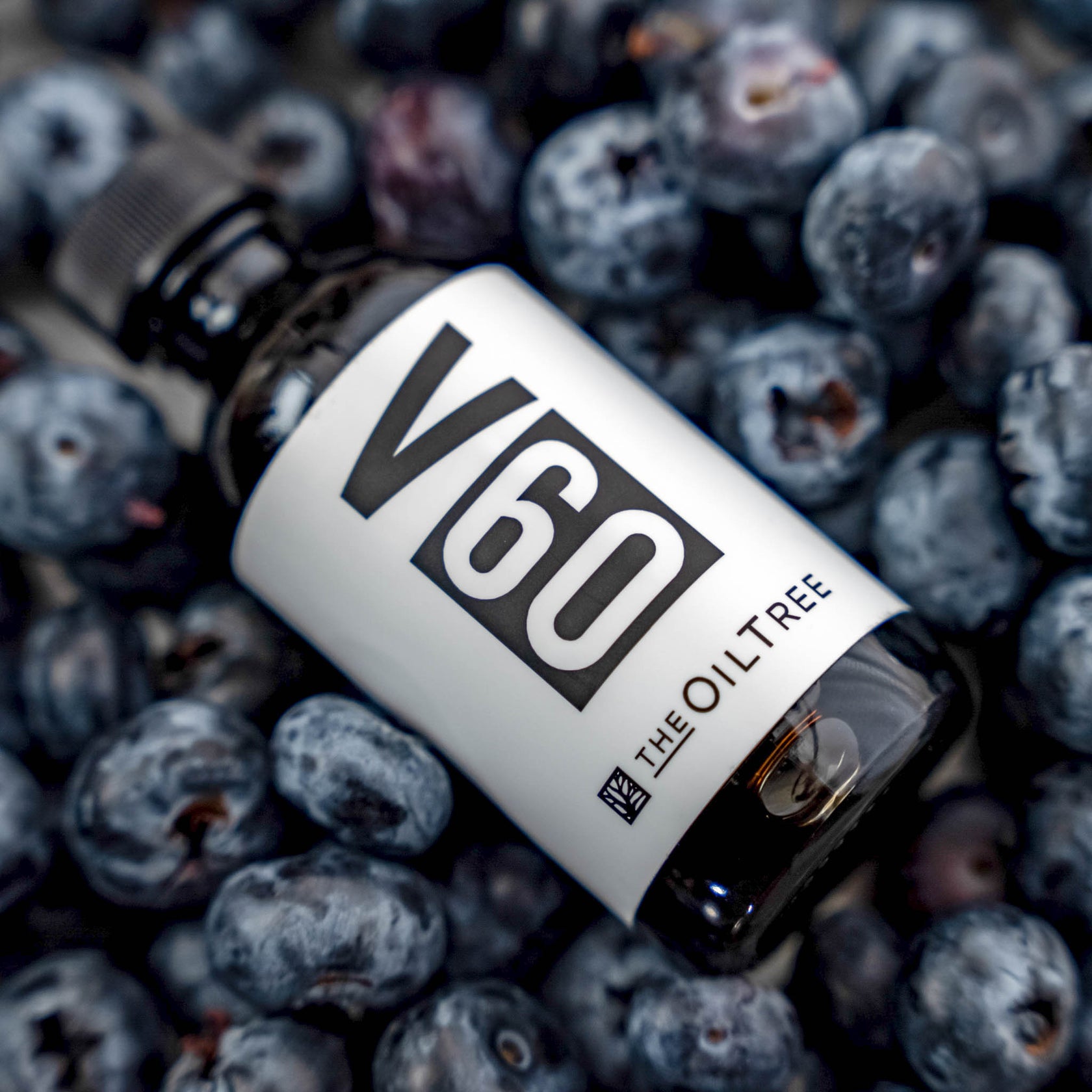 Blueberry Aged Dark Balsamic Vinegar – The Oil Tree